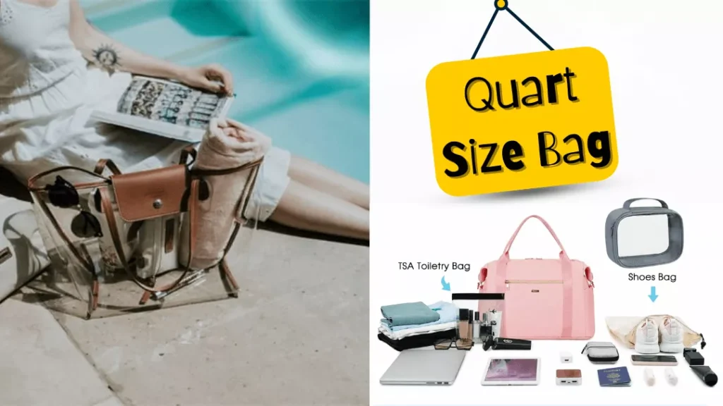 Quart Size Bag Vs Sandwich Bag: What’s the Difference?
